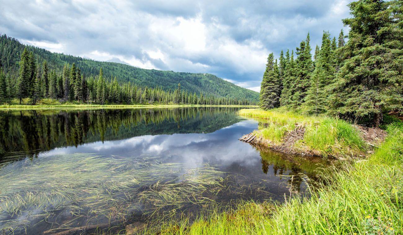 How to Hike the Triple Lakes Trail in Denali National Park