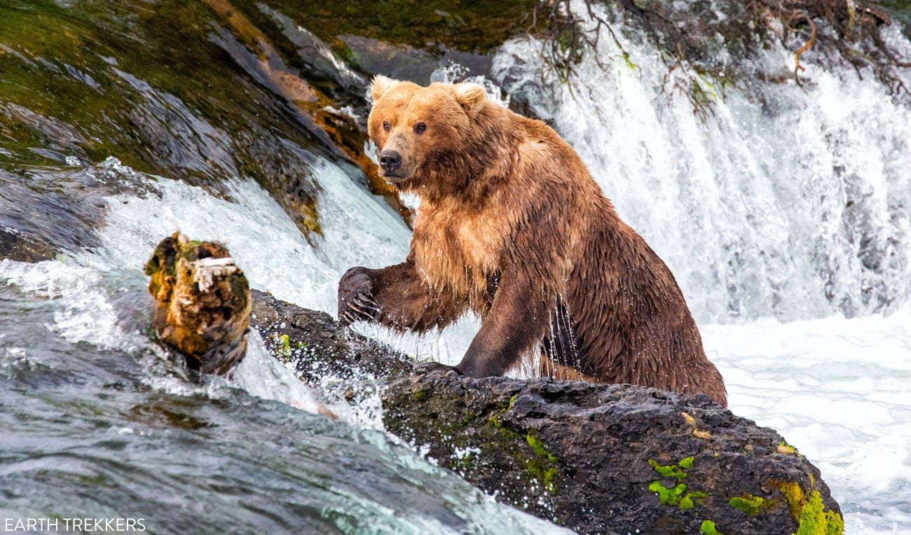 9 Amazing Things to Do in Katmai National Park & Preserve