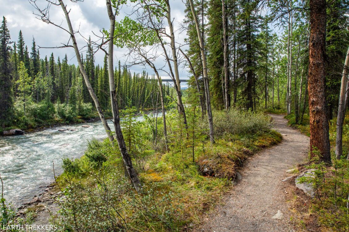 Top 10 Hikes in Denali National Park & Preserve – Earth Trekkers