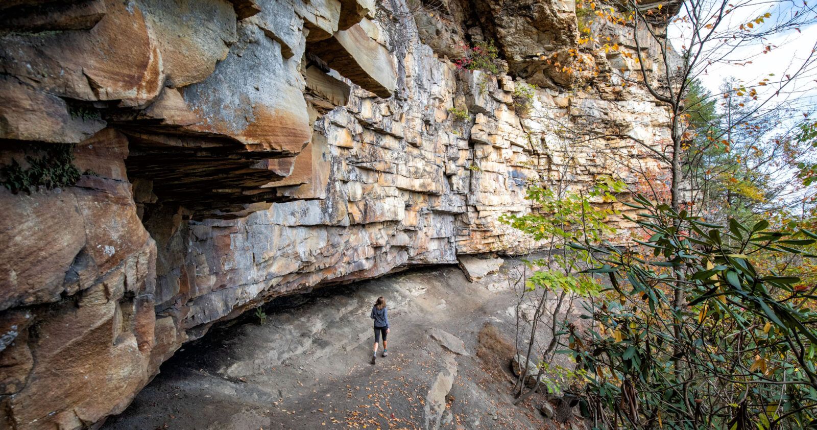 6 Beautiful Hikes in New River Gorge National Park