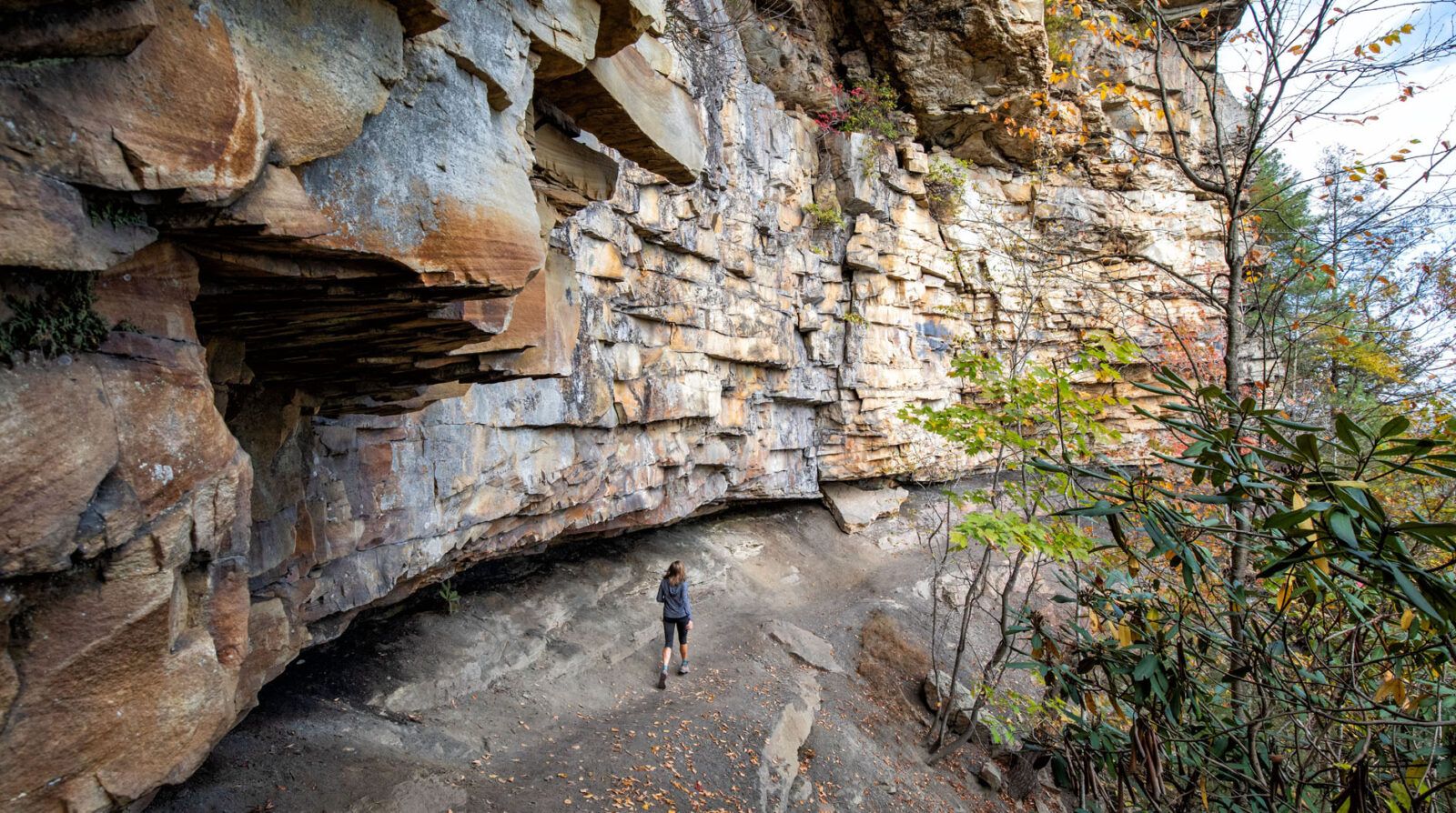 New River Gorge National Park Itinerary for 1 to 3 Days