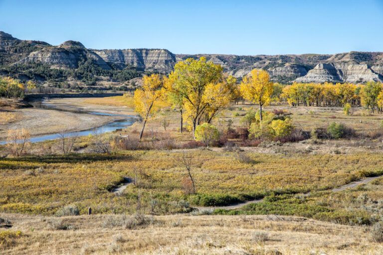 Theodore Roosevelt National Park Travel Guide – Earth Trekkers