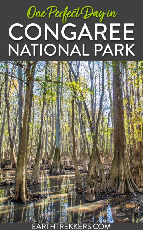 One Perfect Day in Congaree National Park