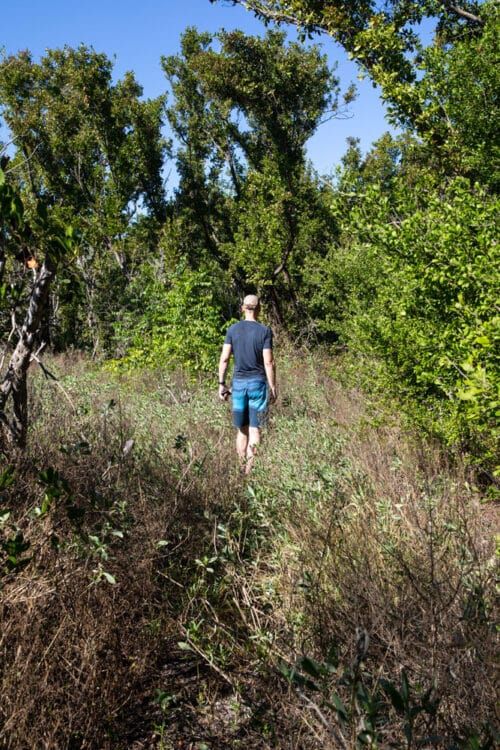 10 Best Things to Do in Biscayne National Park – Earth Trekkers