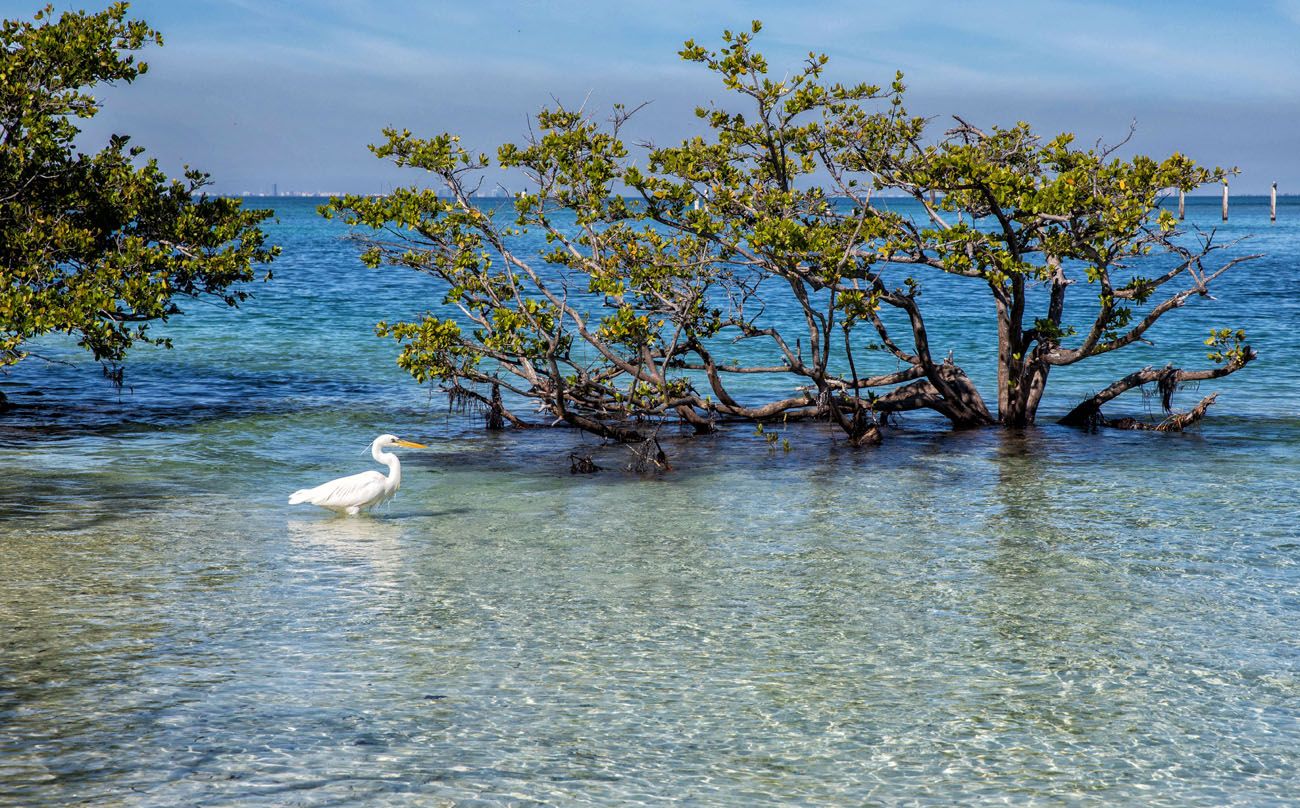 10 Best Things to Do in Biscayne National Park