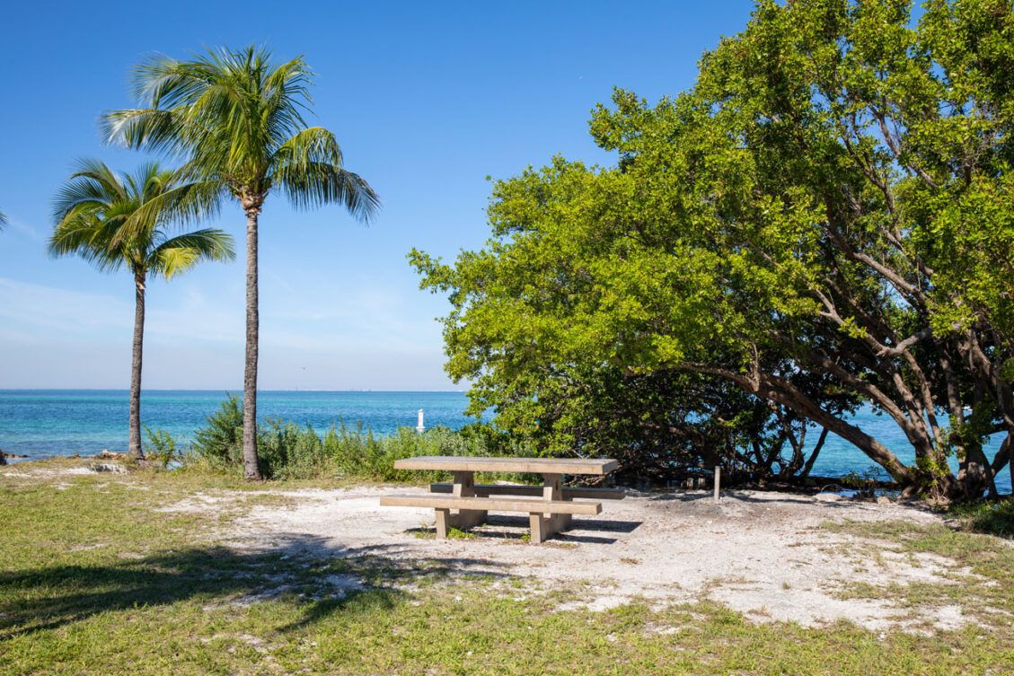 10 Best Things to Do in Biscayne National Park