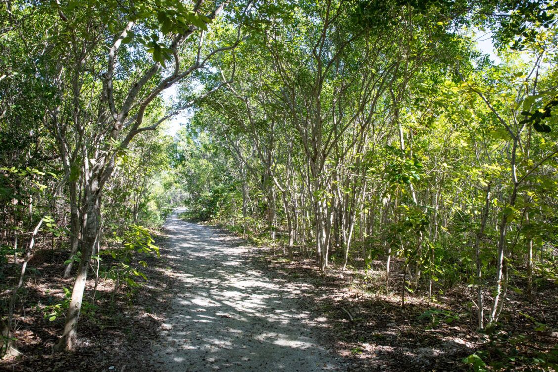 10 Best Things to Do in Biscayne National Park – Earth Trekkers