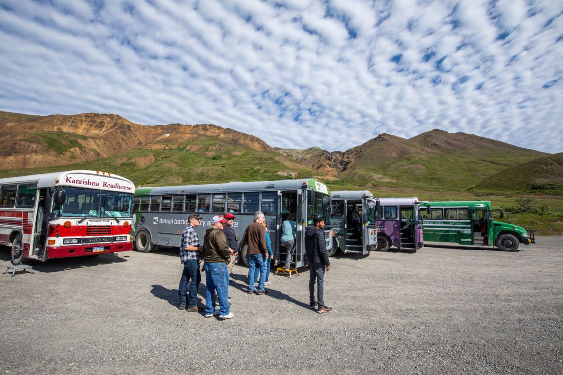 16 Best Things to Do in Denali National Park