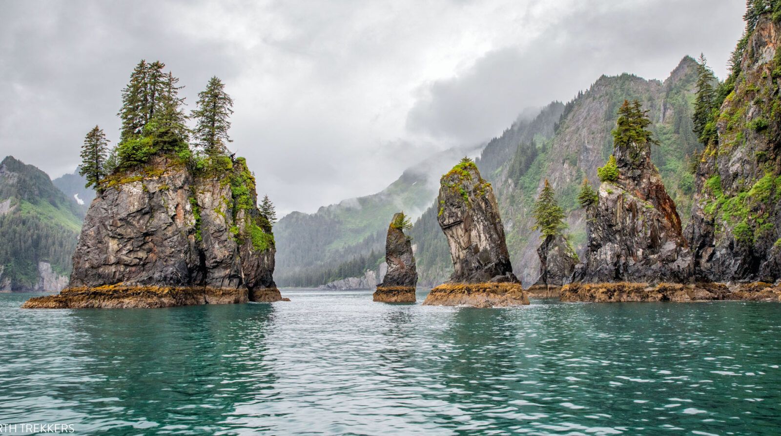 Kenai Fjords National Park Travel Guide – Earth Trekkers