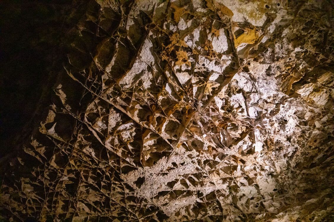 6 Great Things to Do in Wind Cave National Park