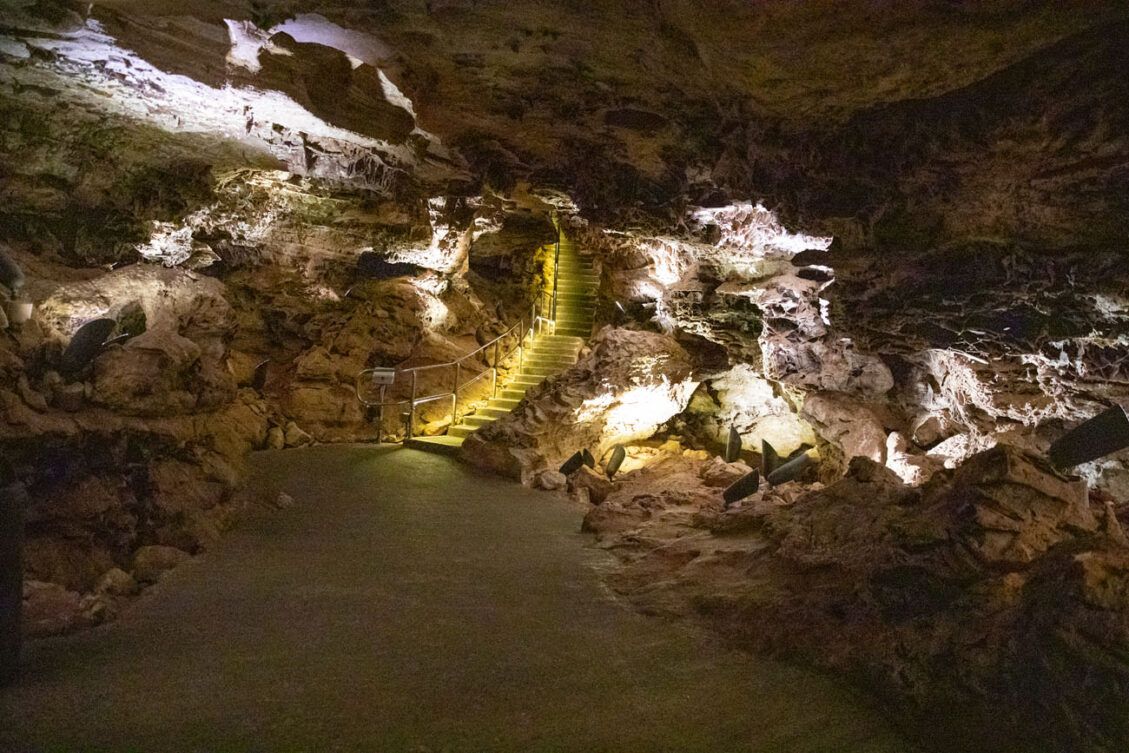 6 Great Things to Do in Wind Cave National Park