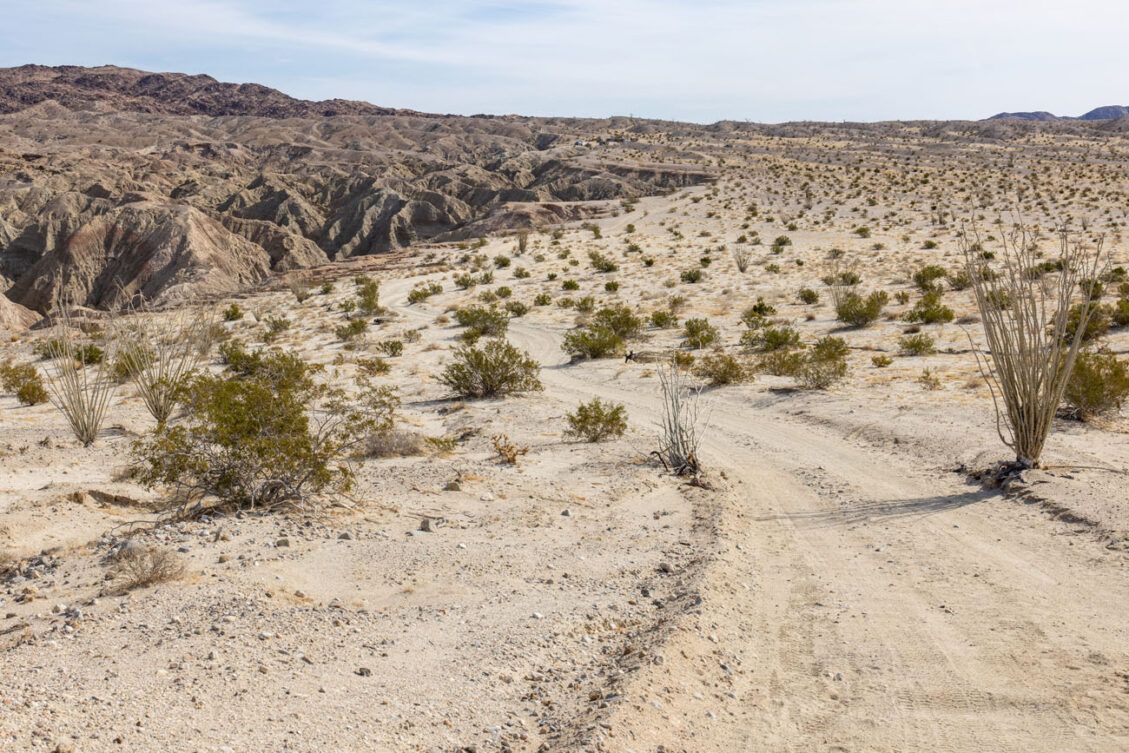 Ultimate Guide to The Slot, Anza-Borrego Desert State Park – Earth Trekkers