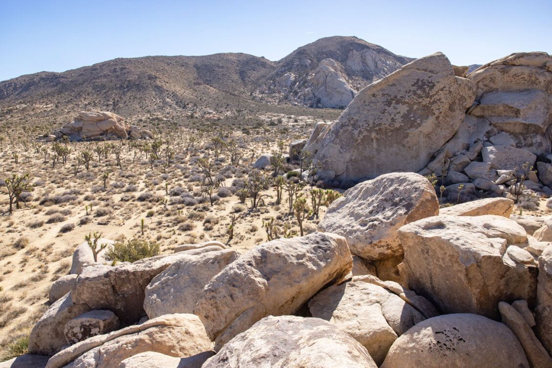 How to Hike the Hall of Horrors | Joshua Tree National Park – Earth ...