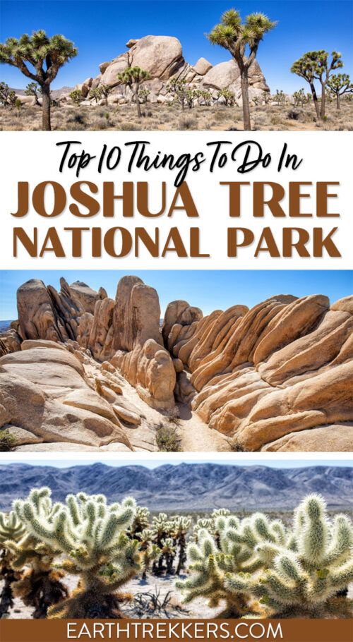 10 Things to Do in Joshua Tree National Park on Your First Visit