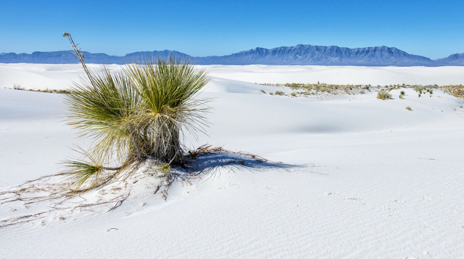 White Sands National Park – Earth Trekkers