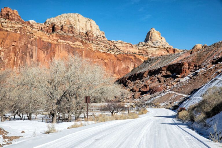 14 Amazing Things to Do in Capitol Reef National Park