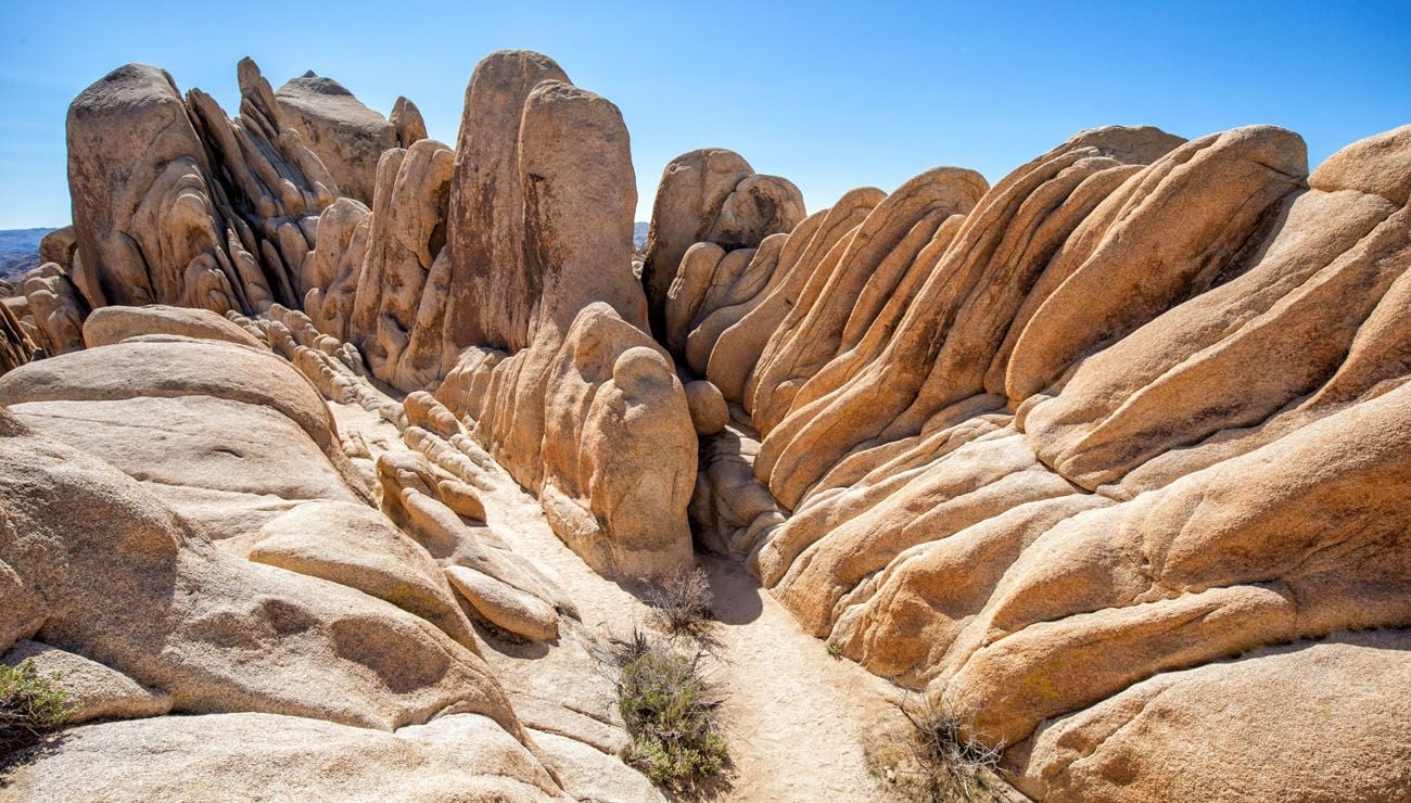 14 Epic Hikes in Joshua Tree National Park (+ Maps & Photos)