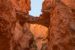Bryce Canyon National Park Travel Guide – Earth Trekkers