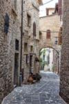 16 Wonderful Things to Do in Assisi (+ Helpful Tips & Map)