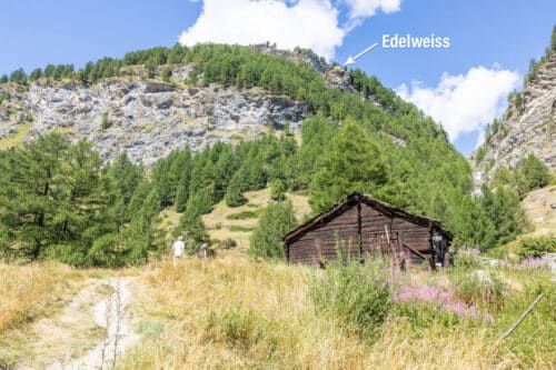 12 Epic Day Hikes in Zermatt (+ Trail Stats, Photos & Map) – Earth Trekkers