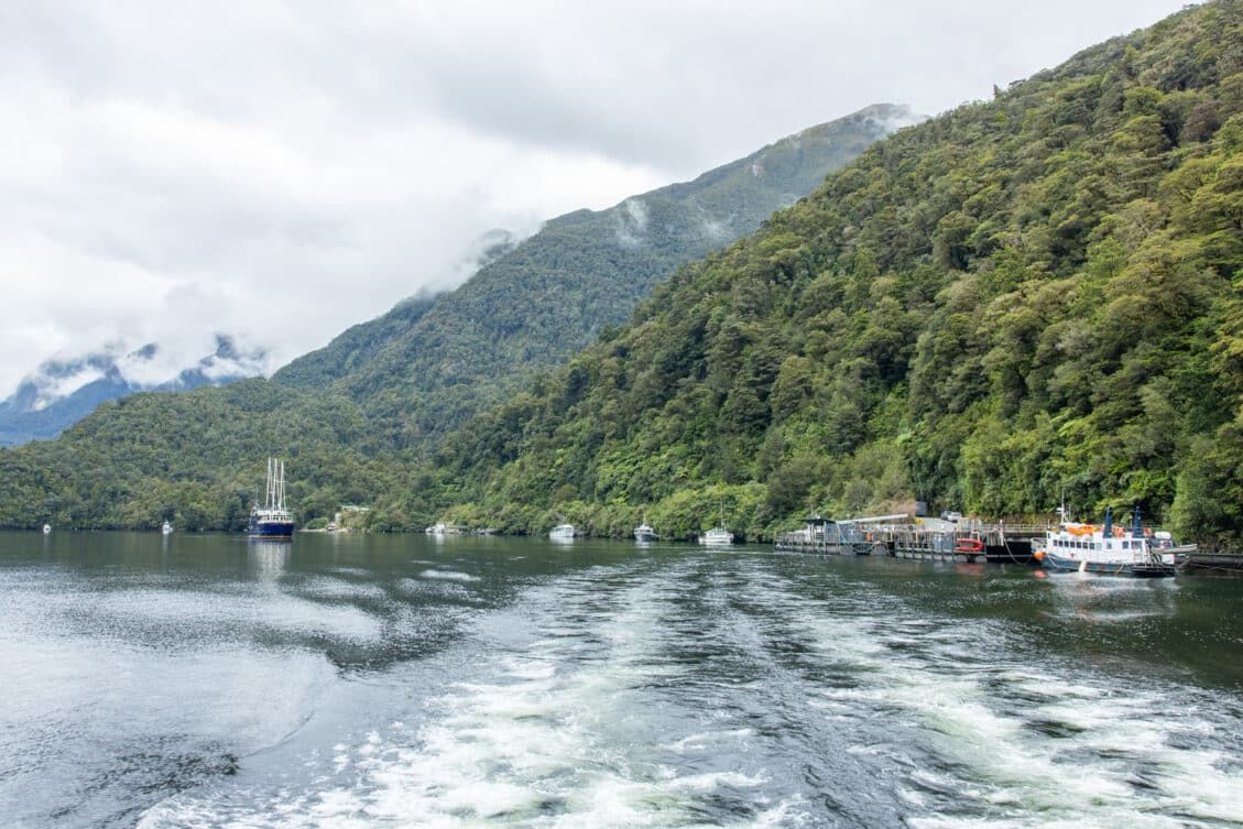 Doubtful Sound Day Trip Itinerary: What to Expect, Photos & Map