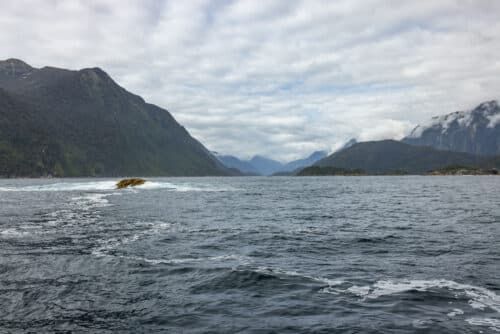 Doubtful Sound Day Trip Itinerary: What to Expect, Photos & Map
