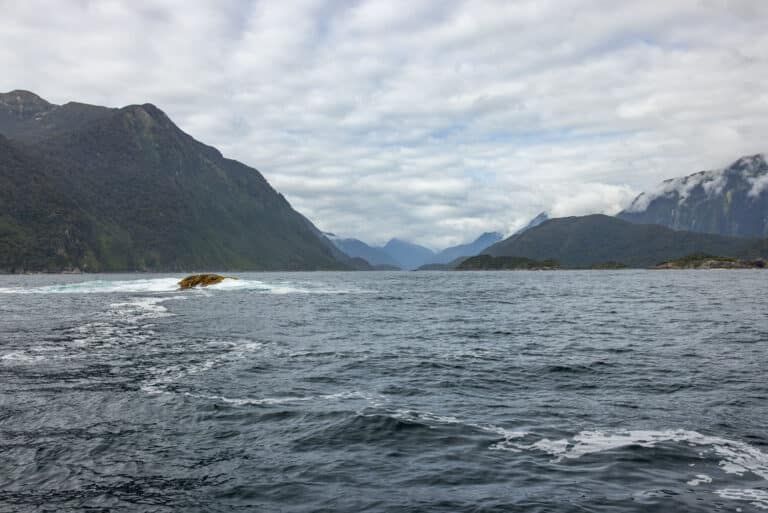 Doubtful Sound Day Trip Itinerary: What to Expect, Photos & Map