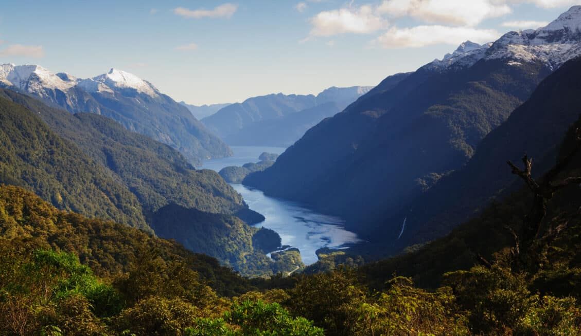 Doubtful Sound Day Trip: What to Expect, Photos & Map