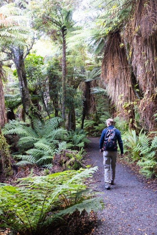 Southern Scenic Route: Things to Do, Map & Itinerary
