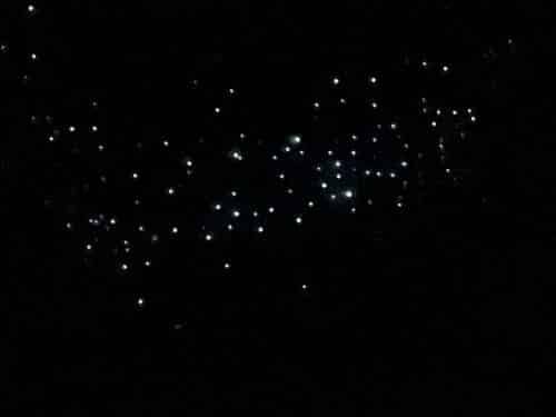 Waitomo Caves: Glowworms, Blackwater Rafting & the Best Tours – Earth ...