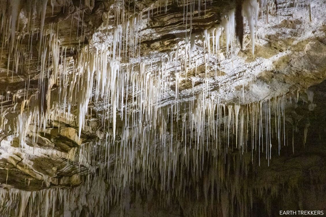 Waitomo Caves: Glowworms, Blackwater Rafting & the Best Tours – Earth ...