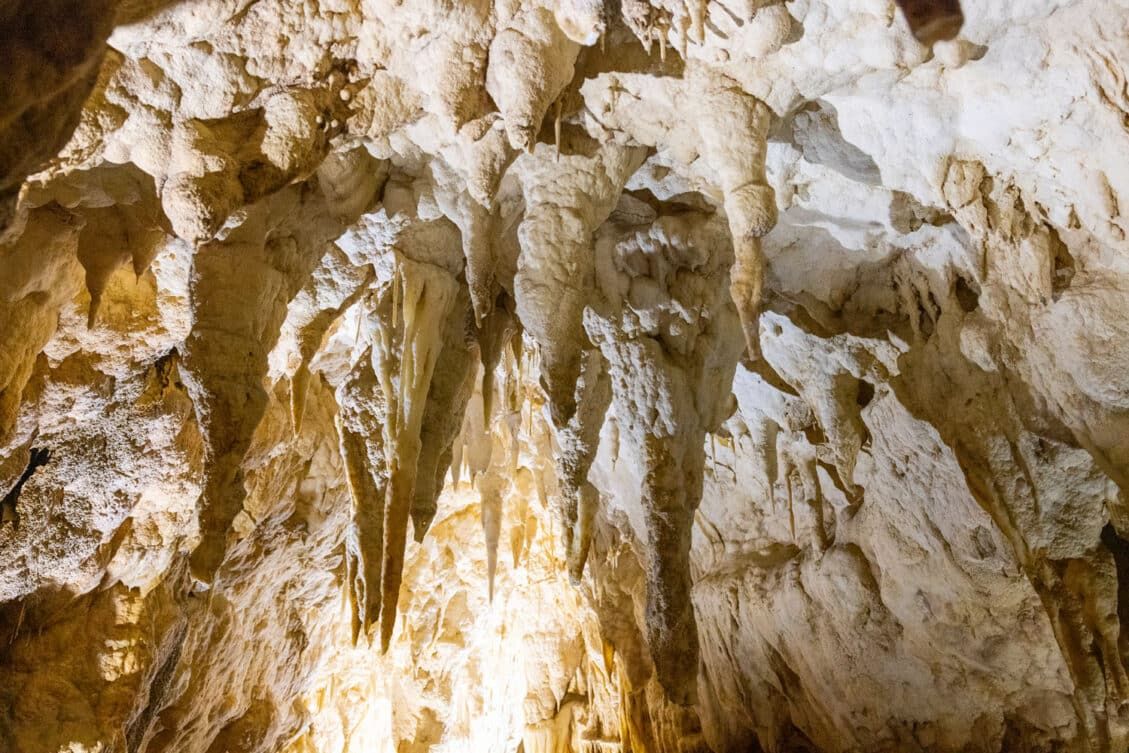 Waitomo Caves: Glowworms, Blackwater Rafting & the Best Tours – Earth ...