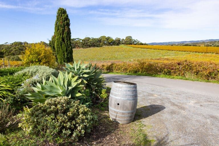 McLaren Vale Uncorked: A Guide to 18 Exceptional Wineries in the Region