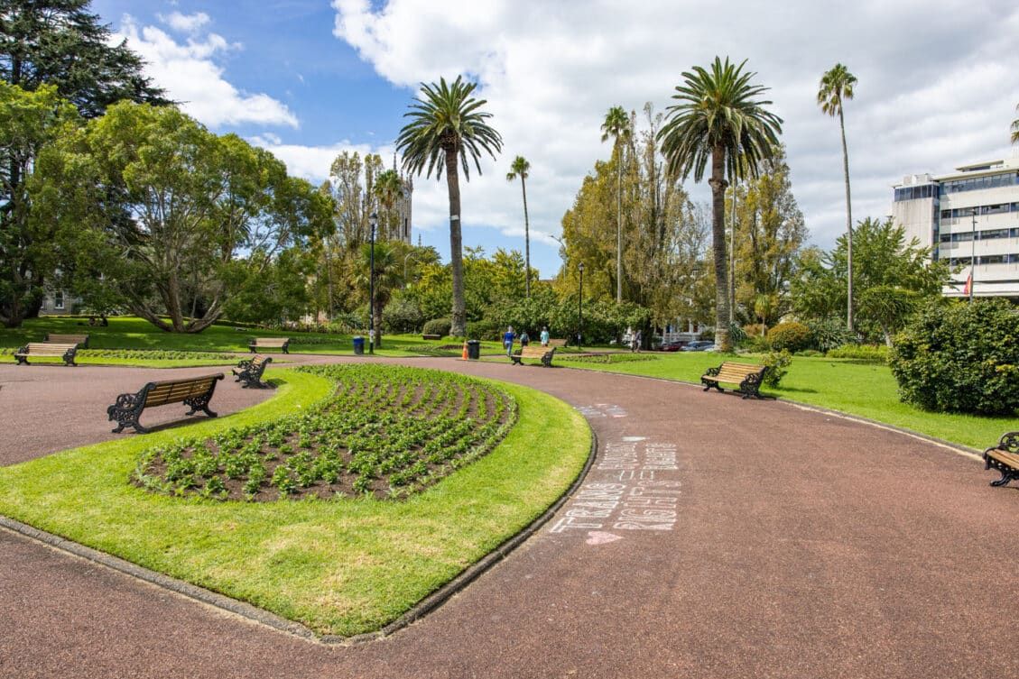 Auckland Bucket List: 20 Best Things to Do in Auckland, New Zealand ...