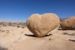Joshua Tree National Park Travel Guide – Earth Trekkers