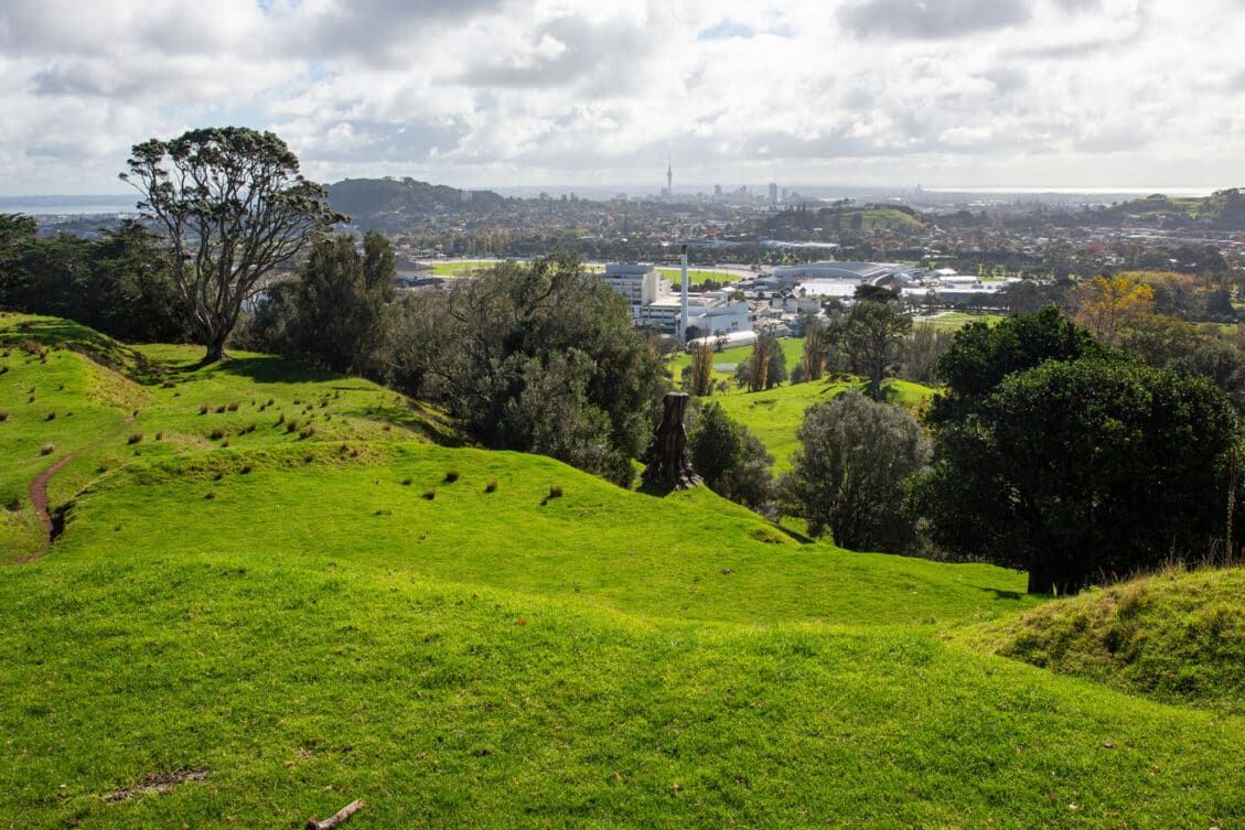 Auckland Bucket List: 20 Best Things to Do in Auckland, New Zealand ...