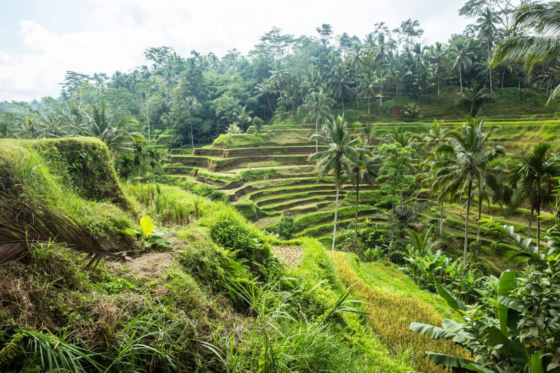7 Day Bali Itinerary: How to Spend One Perfect Week in Bali