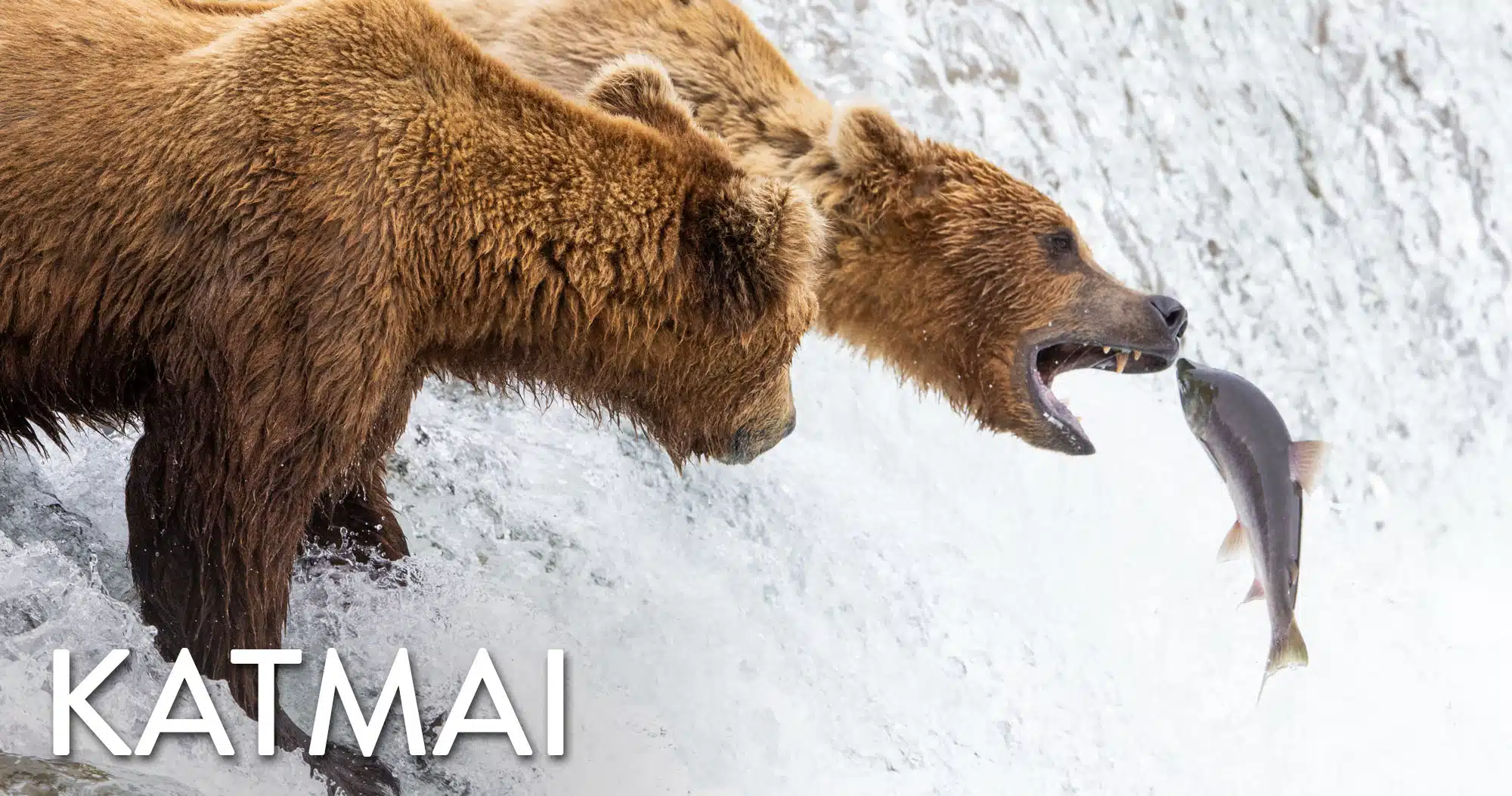 Katmai National Park Travel Guide – Earth Trekkers