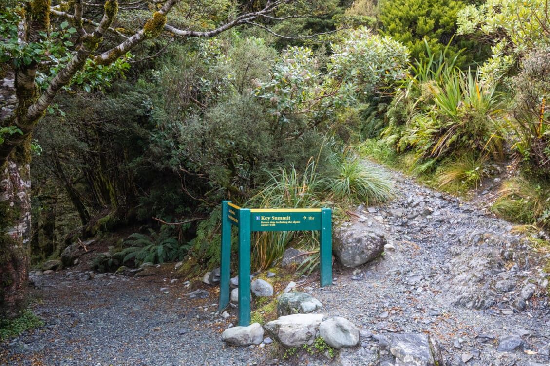 Exactly How to Hike the Routeburn Track in One Day
