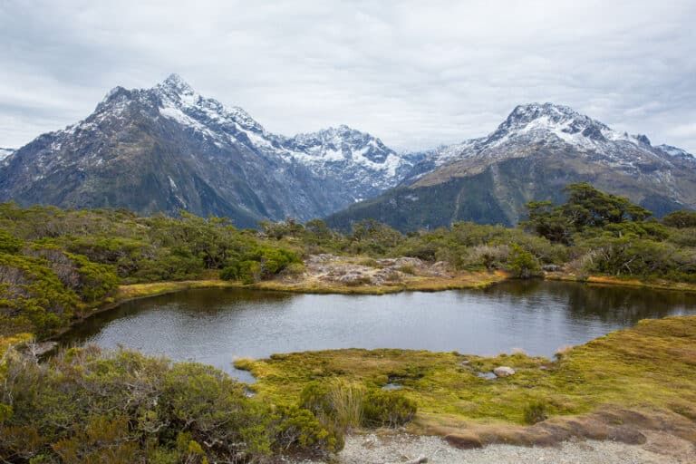 How to Plan a Milford Sound Day Trip (+ Key Summit Track)