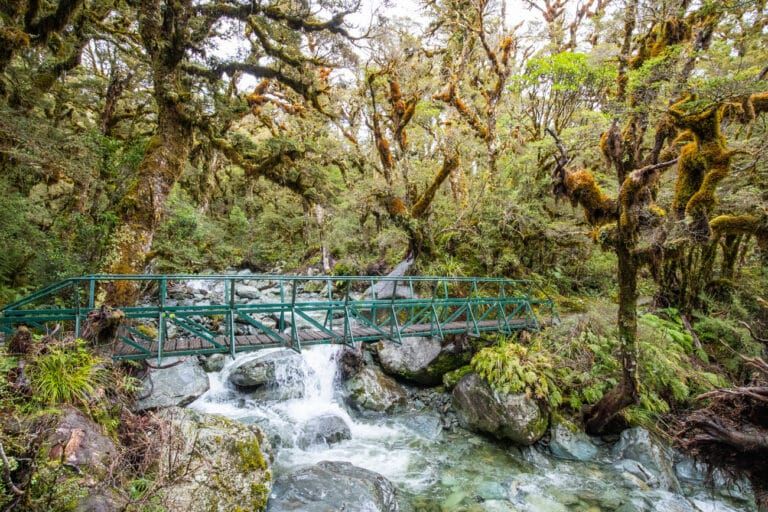 Exactly How to Hike the Routeburn Track in One Day – Earth Trekkers