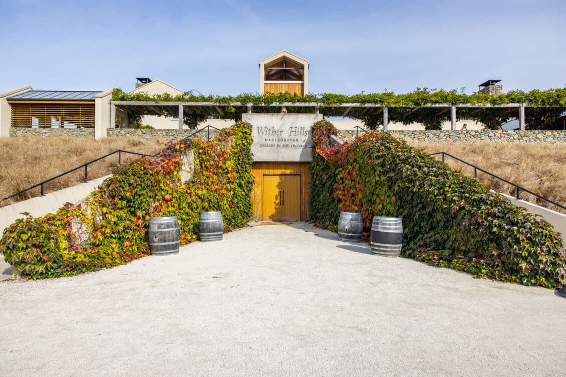 Wine Tasting in Marlborough, New Zealand: Best Vineyards & Tours