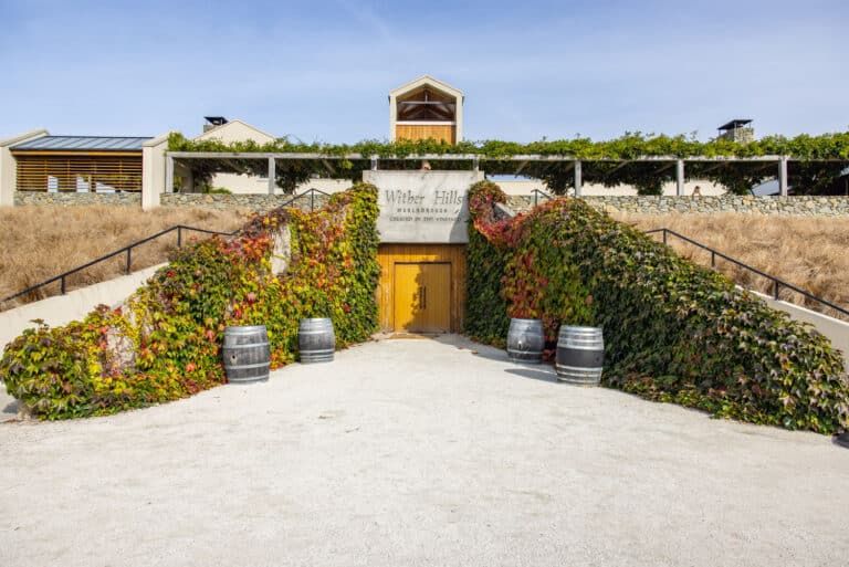 Wine Tasting in Marlborough, New Zealand: Best Vineyards & Tours