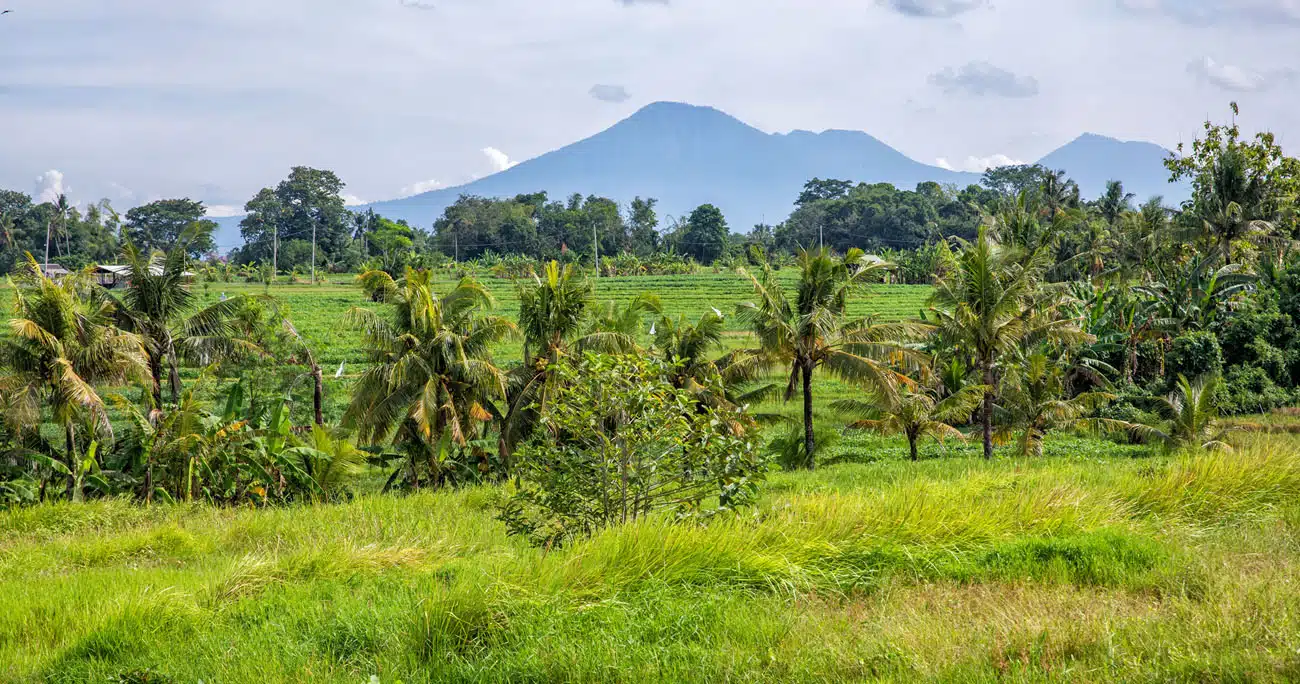 Nyepi Day in Bali: What to Expect as a Visitor to Bali – Earth Trekkers