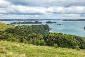 Best Things to Do in Paihia, New Zealand: Gateway to the Bay of Islands