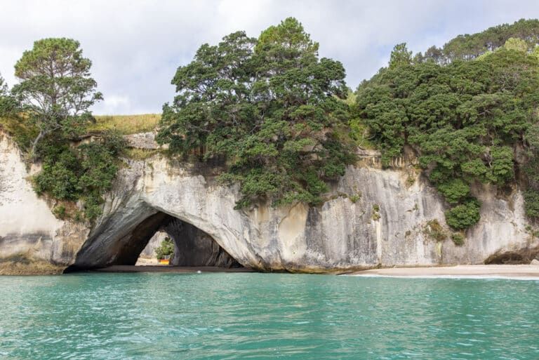 Cathedral Cove Boat Tour | Coromandel Peninsula, New Zealand