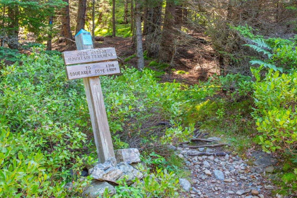 Isle au Haut: Things to Do, How to Get Here & When to Go – Earth Trekkers