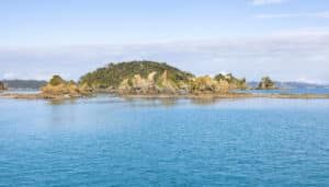 How to Visit the Bay of Islands | Things to Do & Best Tours