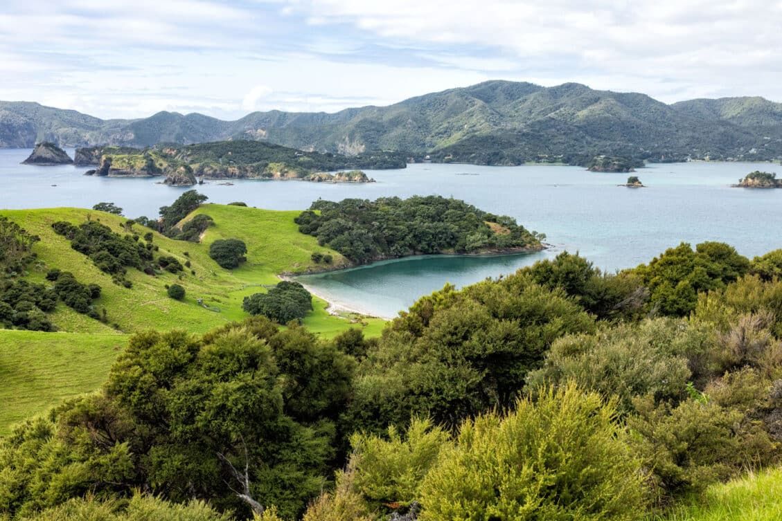 How to Visit the Bay of Islands | Things to Do & Best Tours