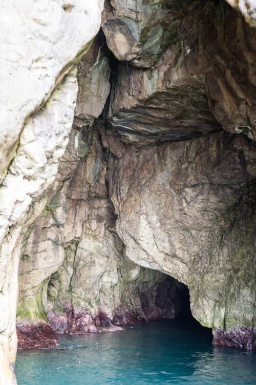 Cathedral Cove Boat Tour | Coromandel Peninsula, New Zealand